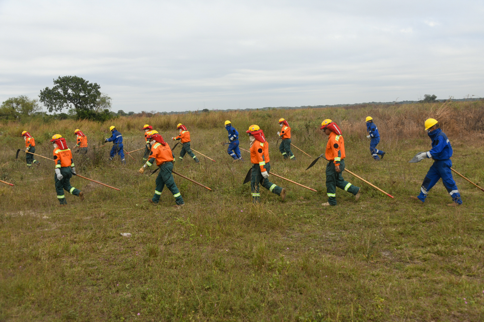 Incendios en Bolivia: más de 40 mil hectáreas quemadas dentro del ...