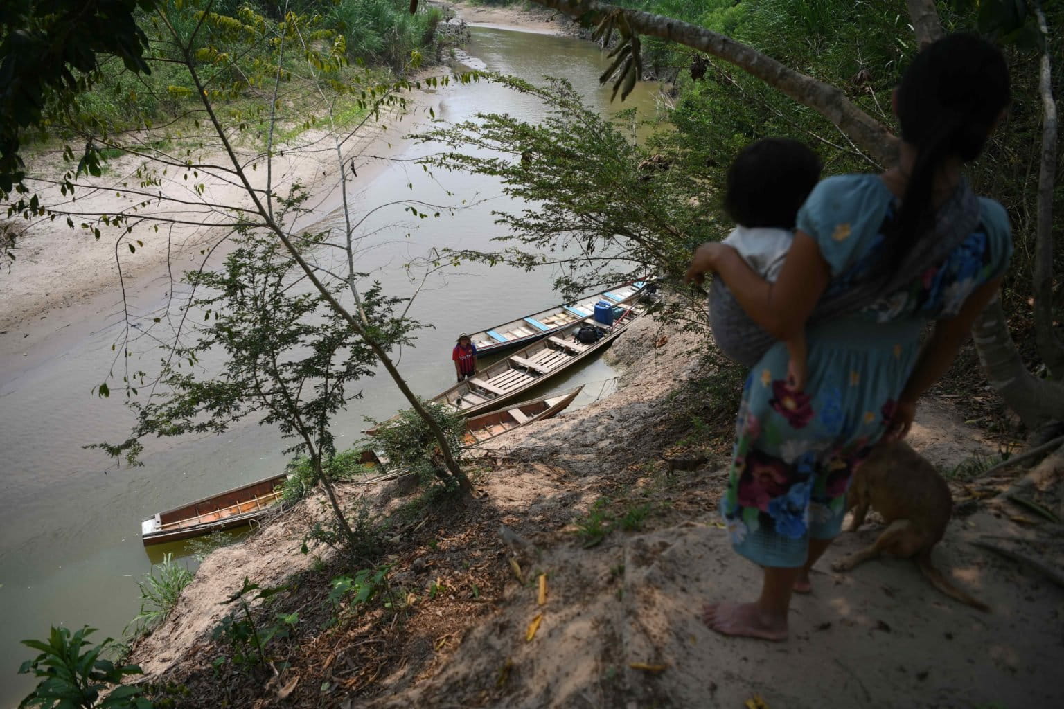 Fronteras amenazadas en Perú, nuevas especies en Bolivia, segunda ...
