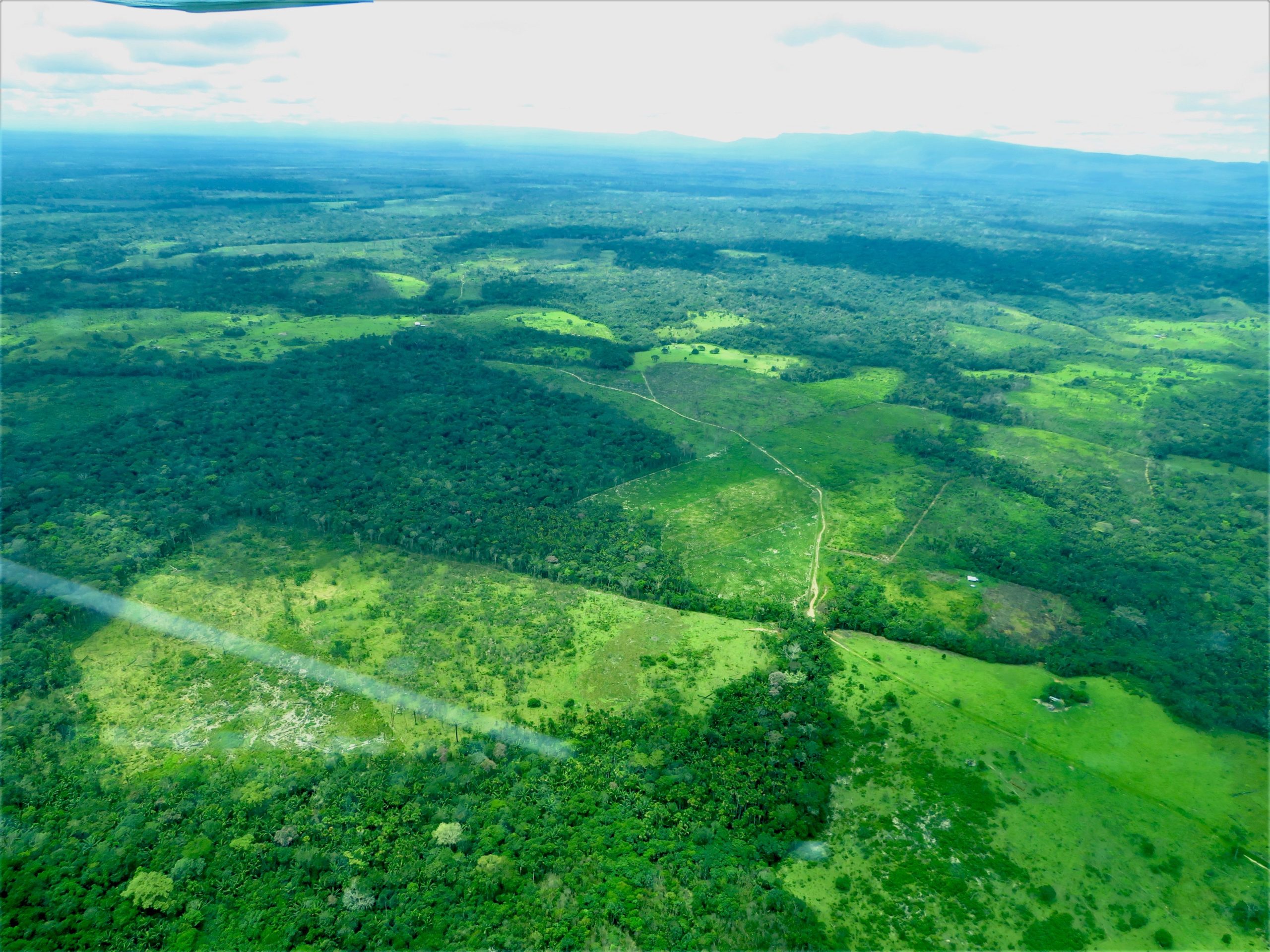 Parque Tinigua En Jaque Cada A o Se Pierden Alrededor De 6 000
