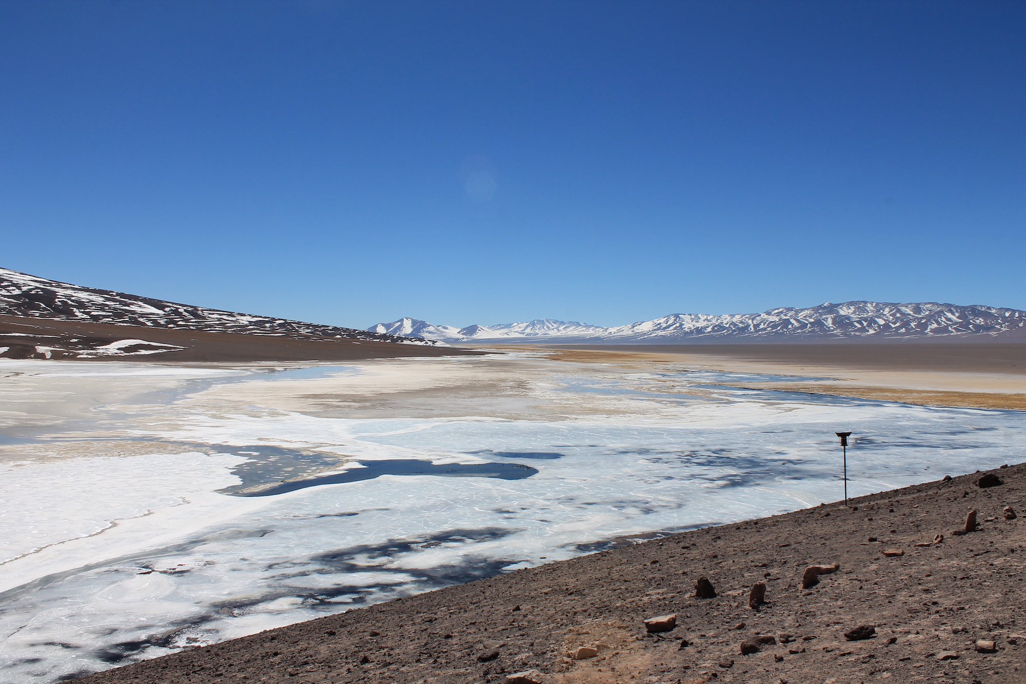 Salar de Maricunga en la mira de la industria del litio: “Es como saber ...