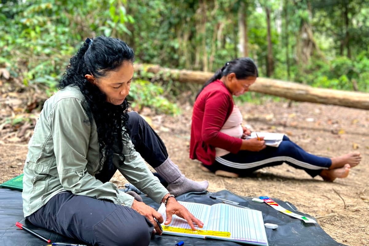 El sueño nonuya – muinane: el rescate de tortugas en el río Caquetá ...