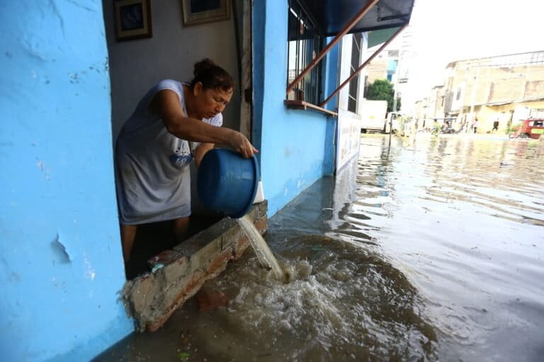 Desafíos ambientales de Perú en 2024: fortalecer la legislación ambiental y enfrentar a las ...