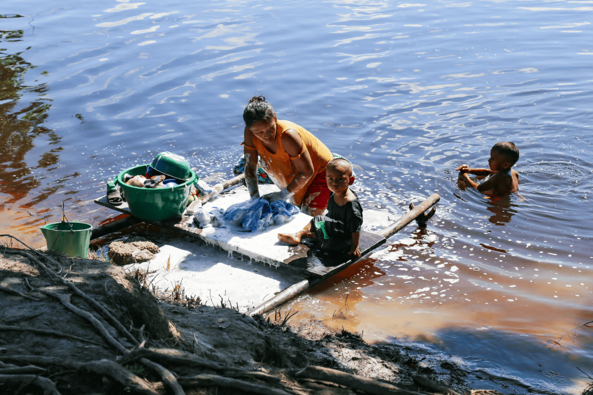 La estrella fluvial del Inírida, un gran humedal protegido por ...