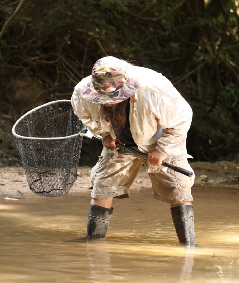¿Un pez capaz de sobrevivir fuera del agua? Así es la nueva especie que ...