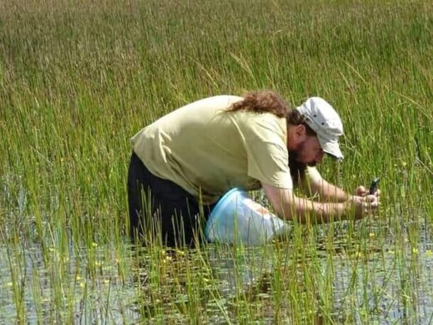 ¿Un pez capaz de sobrevivir fuera del agua? Así es la nueva especie que ...