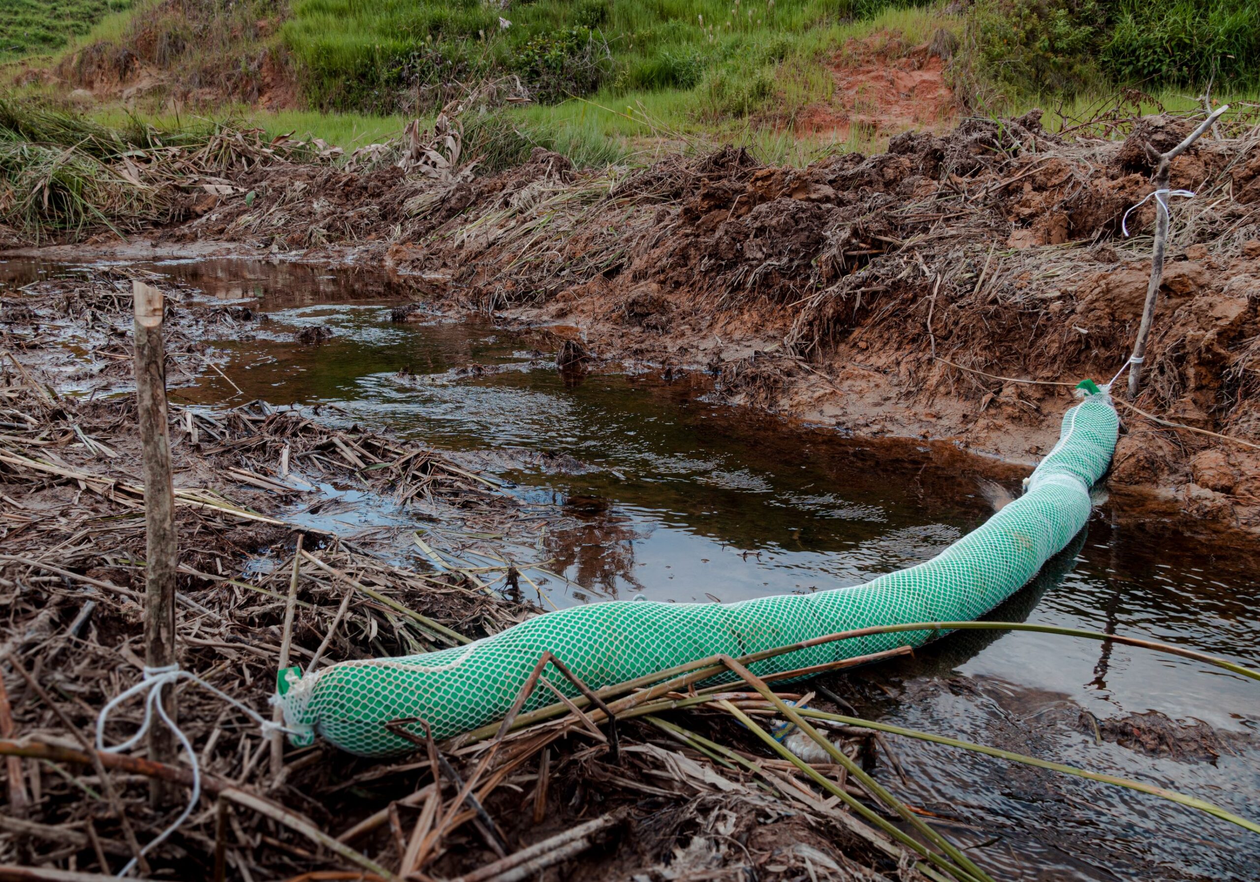 David contra Goliat: la familia de campesinos que se enfrenta a Ecopetrol por un derrame de ...