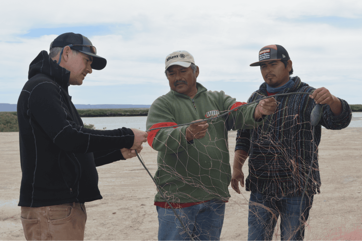 Día Mundial de las Tortugas Marinas: tres iniciativas para mitigar la ...