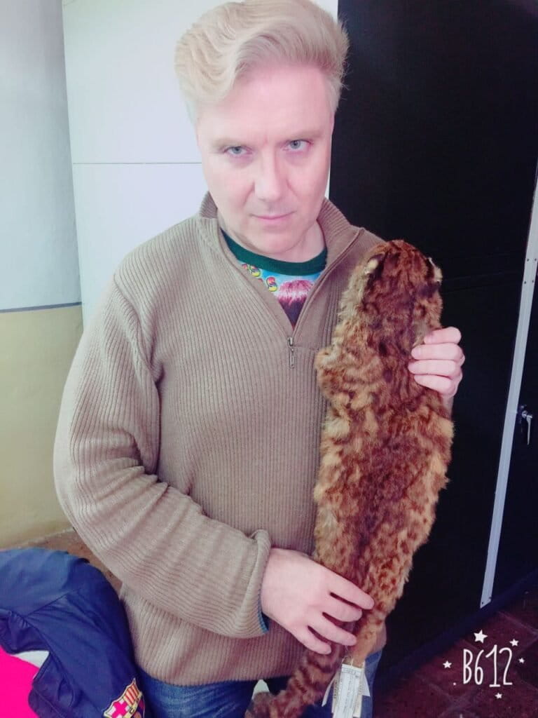 La extraña piel que revelaría una nueva especie de félido en Colombia