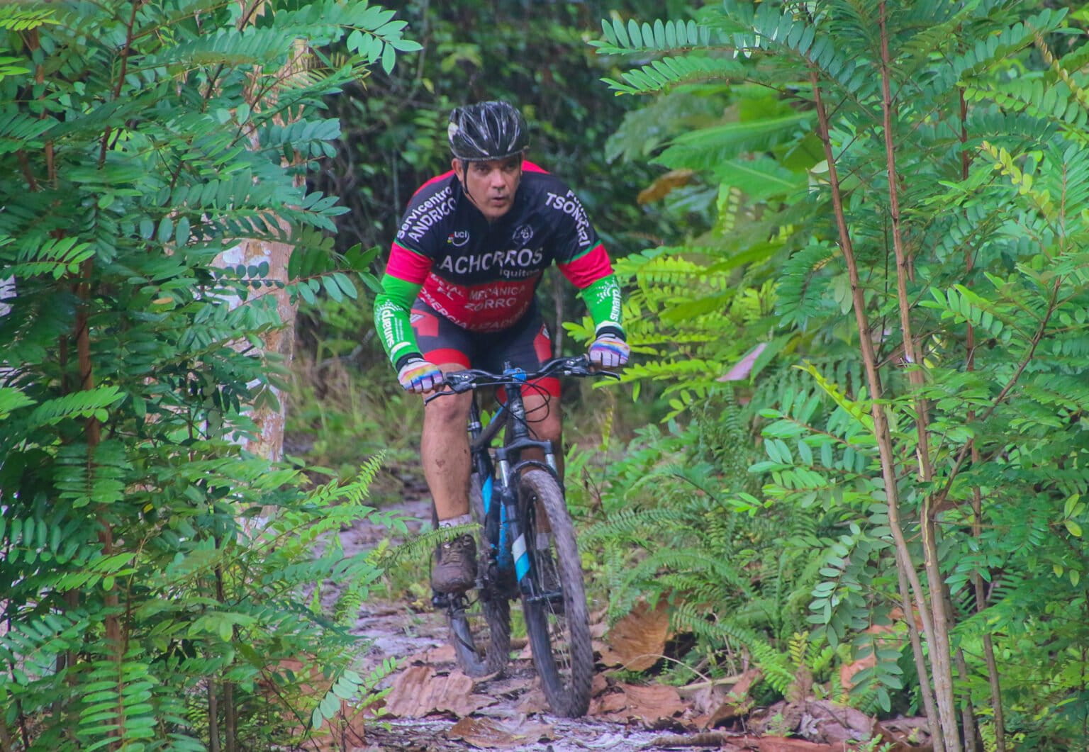 #ExpediciónVirtual: conoce Allpahuayo Mishana, la reserva que protege a ...