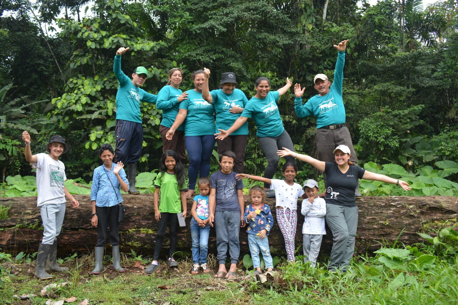 Chocó ecuatoriano: el proyecto que busca salvar al mono araña de cabeza ...