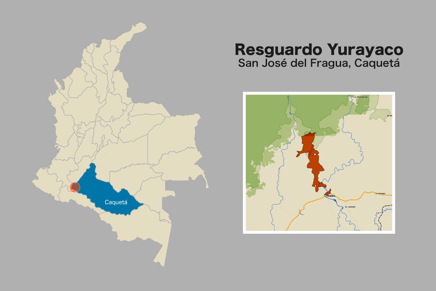 Marginal de la Selva trae coca y deforestación a resguardo