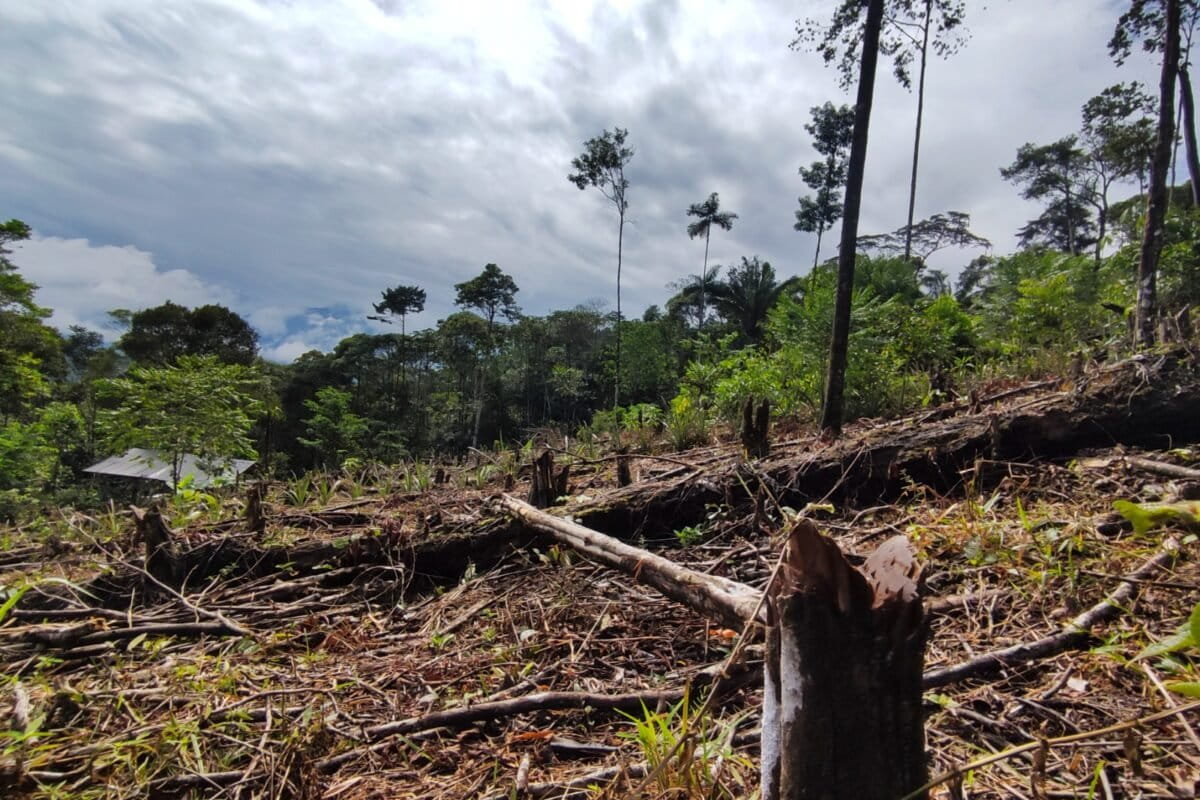 Impresionante Balance Ambiental 2023 en Latinoamérica – MINING REPORT