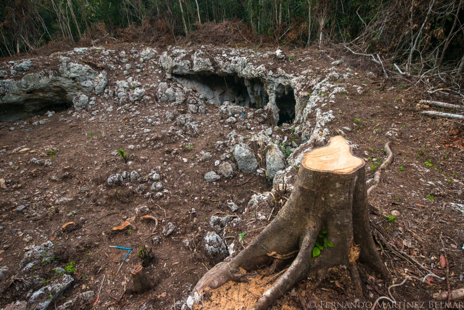 El biólogo que usa la fotografía para denunciar los daños ambientales ...