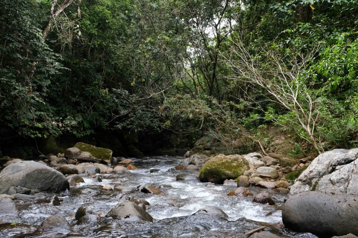 Acceso a la tierra: la deuda histórica con las mujeres rurales en Colombia