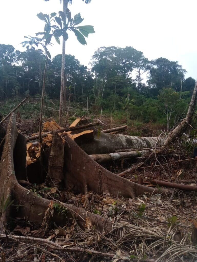 El líder indígena Quinto Inuma 'asesinado' en la Amazonía peruana