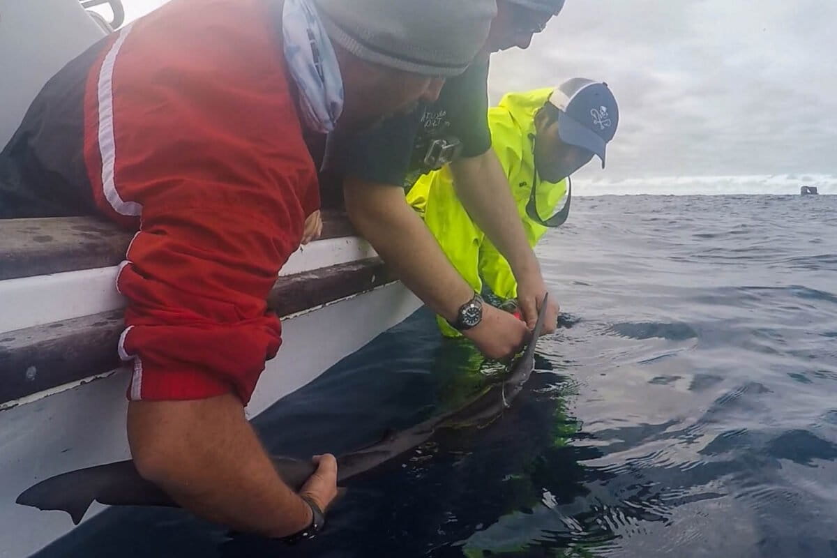 “Necesitamos transparencia y el escrutinio de todos los ecuatorianos en ...