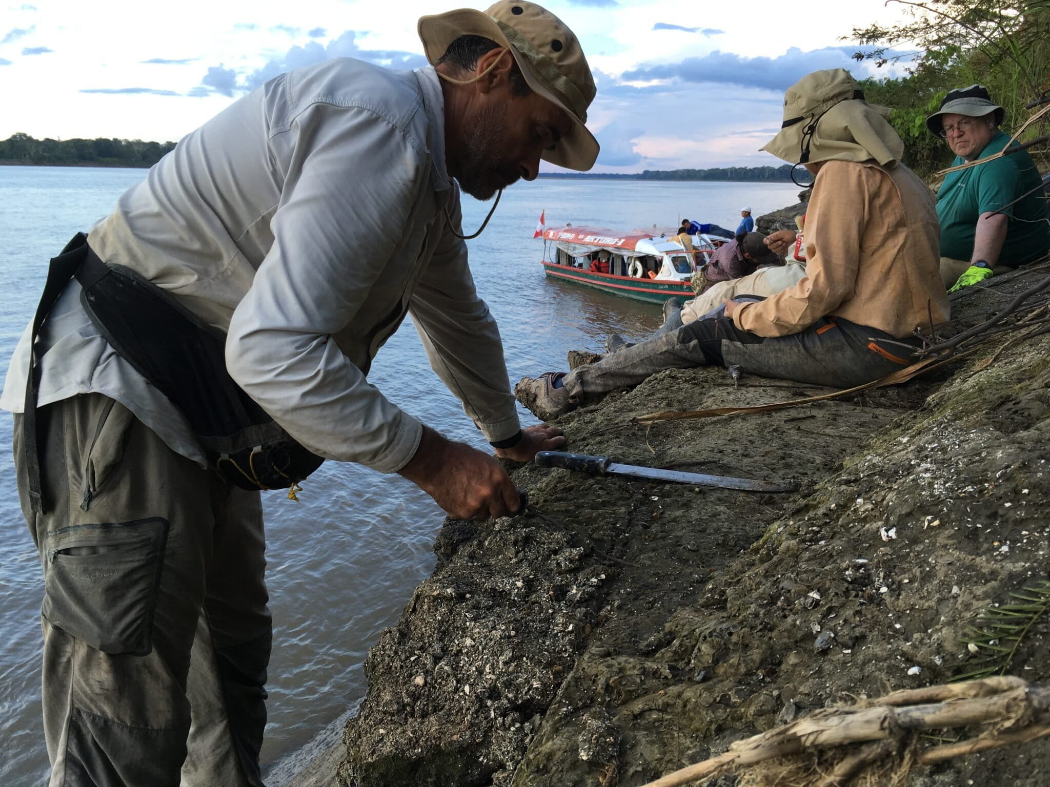 Gigante de la Amazonía: descubren fósil del que habría sido el delfín ...