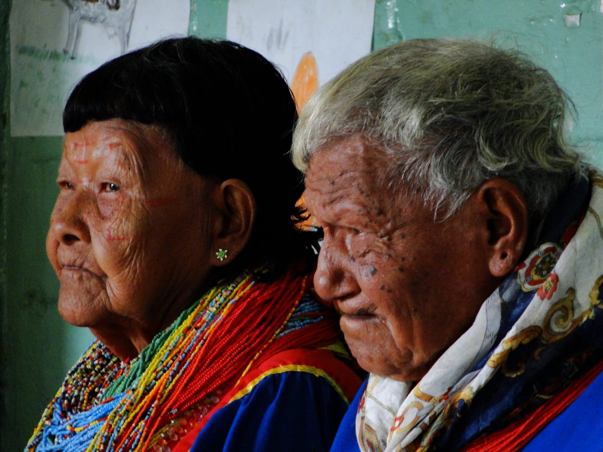Un santuario para salvar a las plantas medicinales: la hazaña del ...