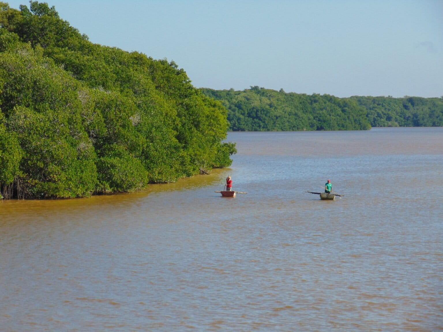Día Internacional de la Defensa de los Manglares: Isla Arena y su lucha ...
