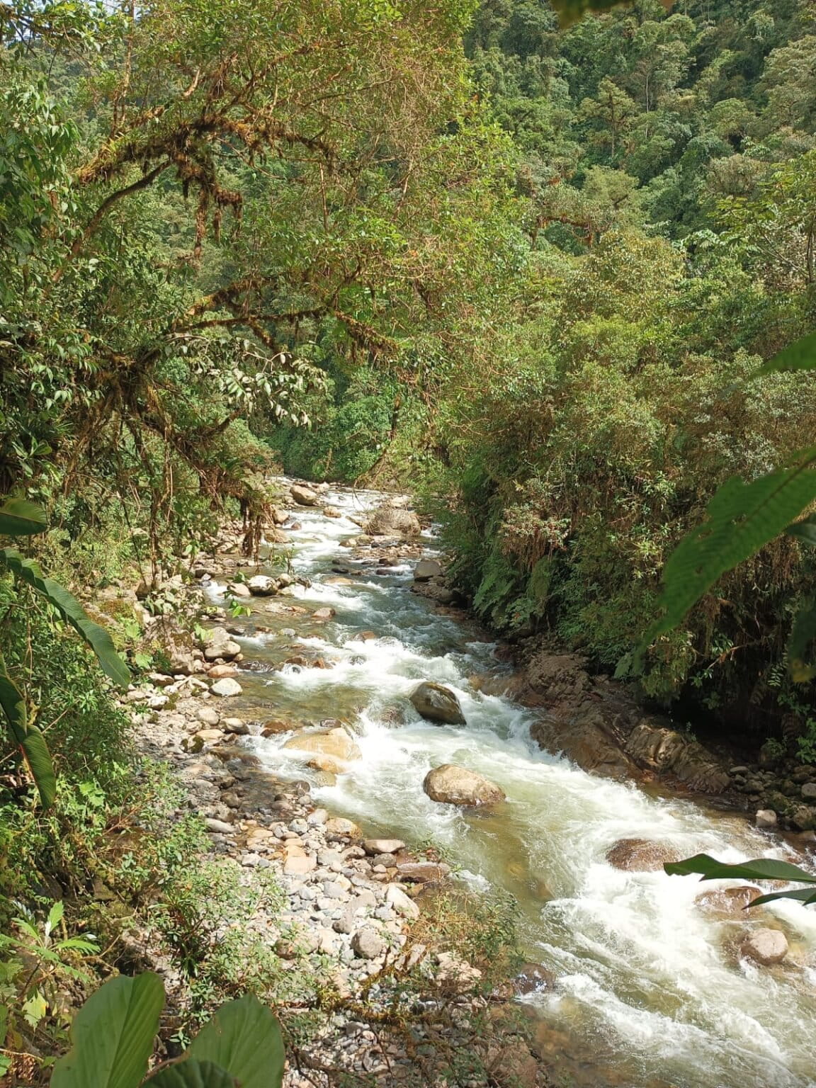 Día Internacional de los Parques Nacionales: tres iniciativas para proteger a la naturaleza en ...