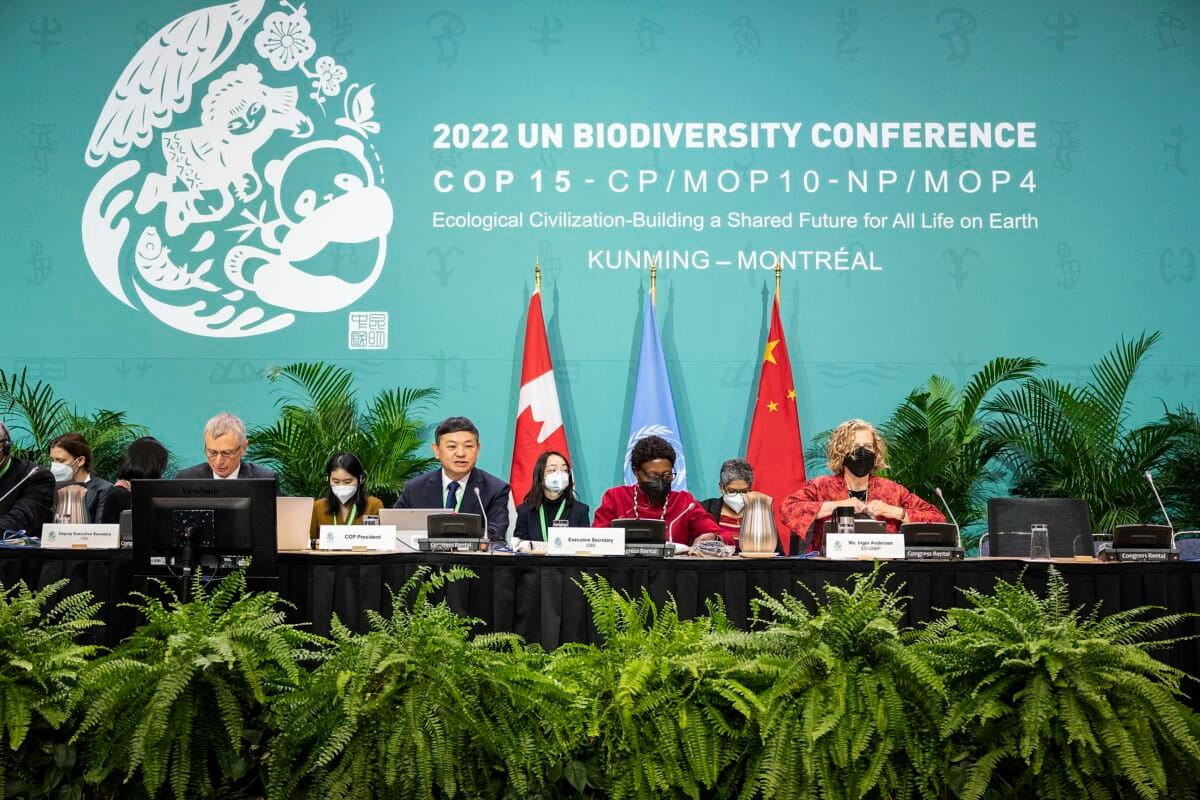 Estos son los temas clave que se discutirán en la COP 16 de ...
