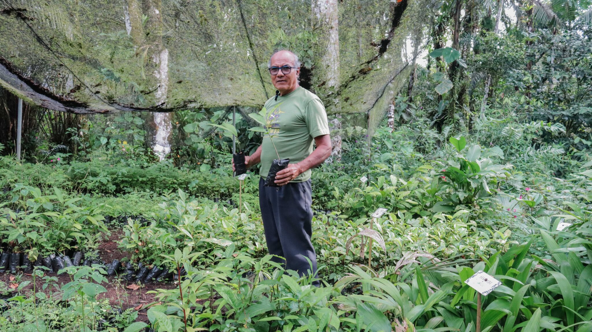 El secreto de Itia Mama Minga: un proyecto comunitario que reforesta el ...