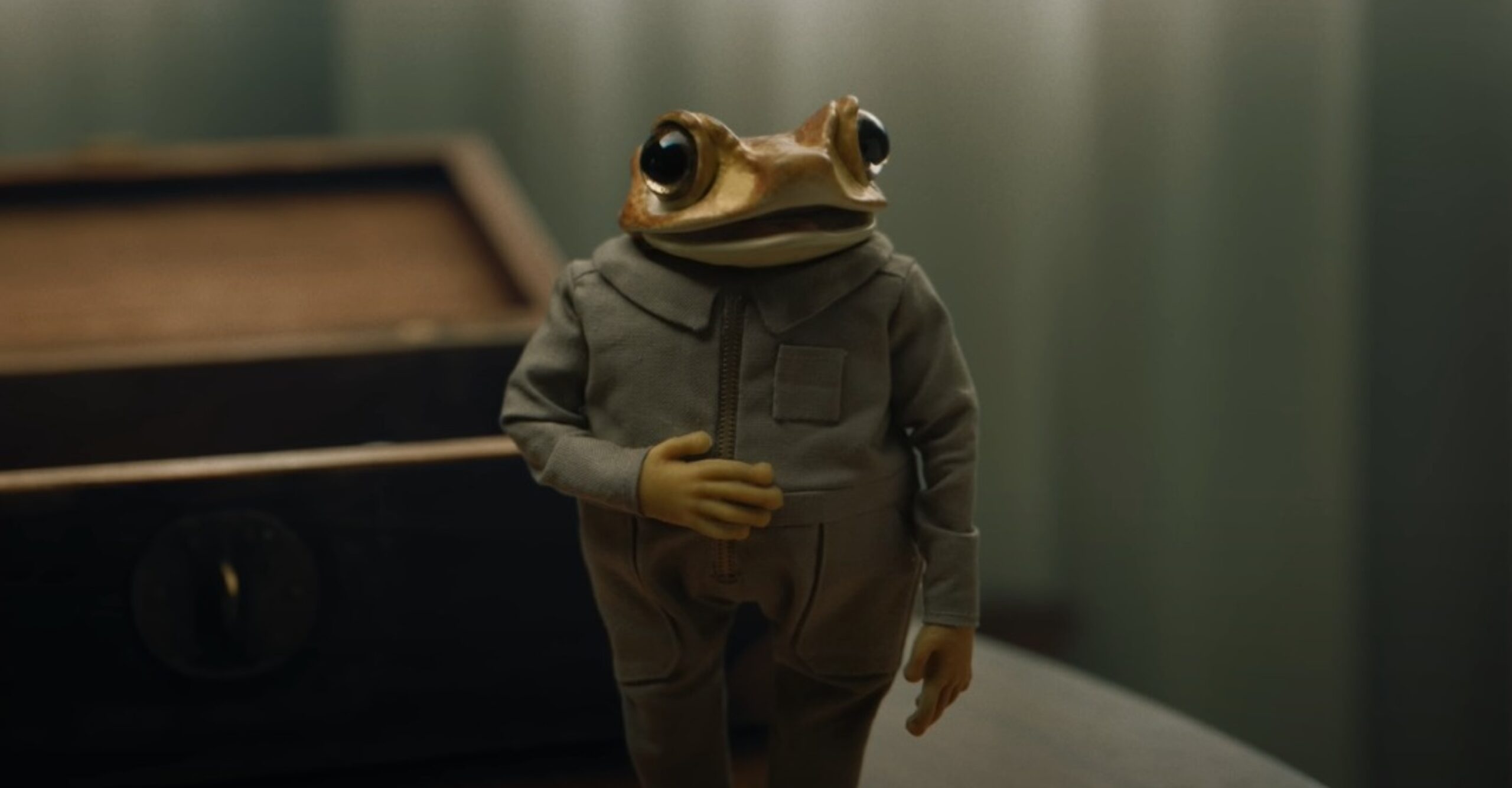 Concho, el sapo que recuerda la urgencia de salvar de la extinción a ...