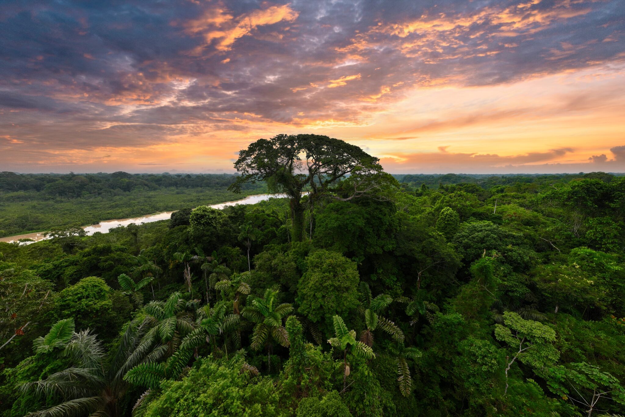 Sani Warmi: la lección de las mujeres kichwa que conservan la Amazonía ...