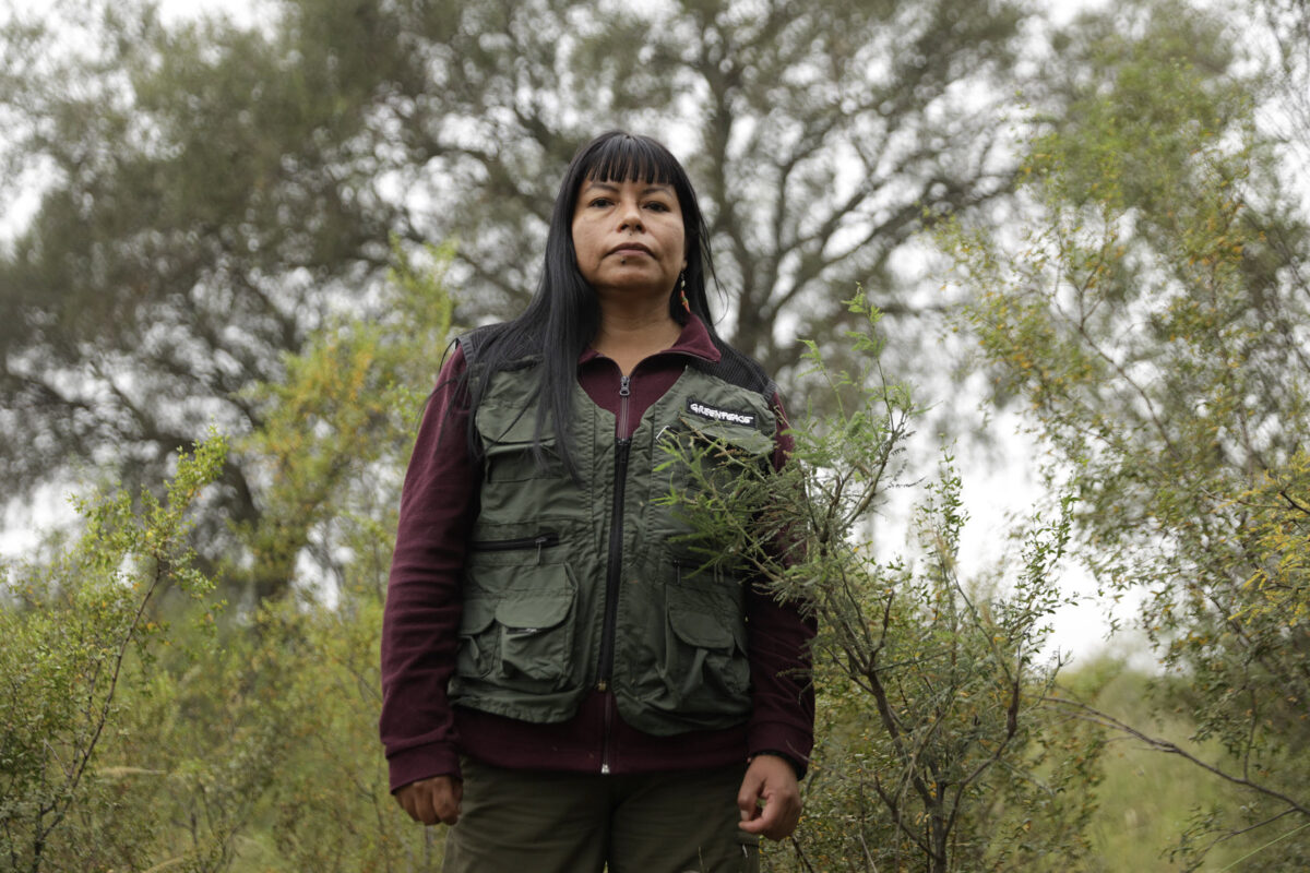 “El monte, así como se destruye, también tiene una memoria para volver”: Noemí Cruz | ENTREVISTA