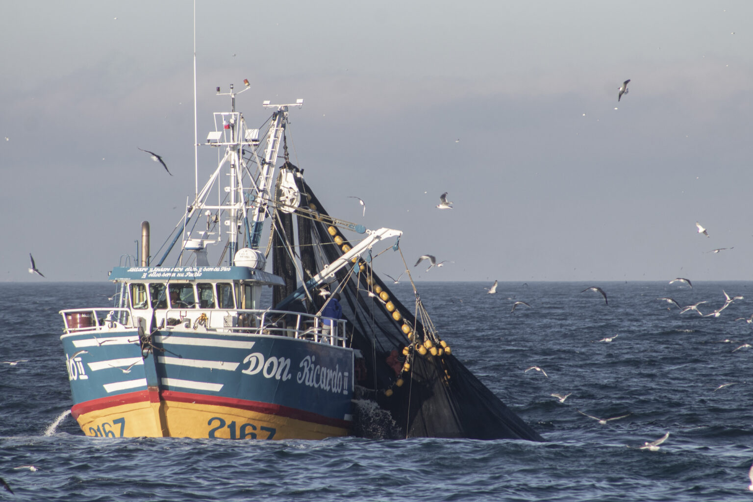 El “Waze" pesquero: nueva tecnología para controlar la pesca también ...