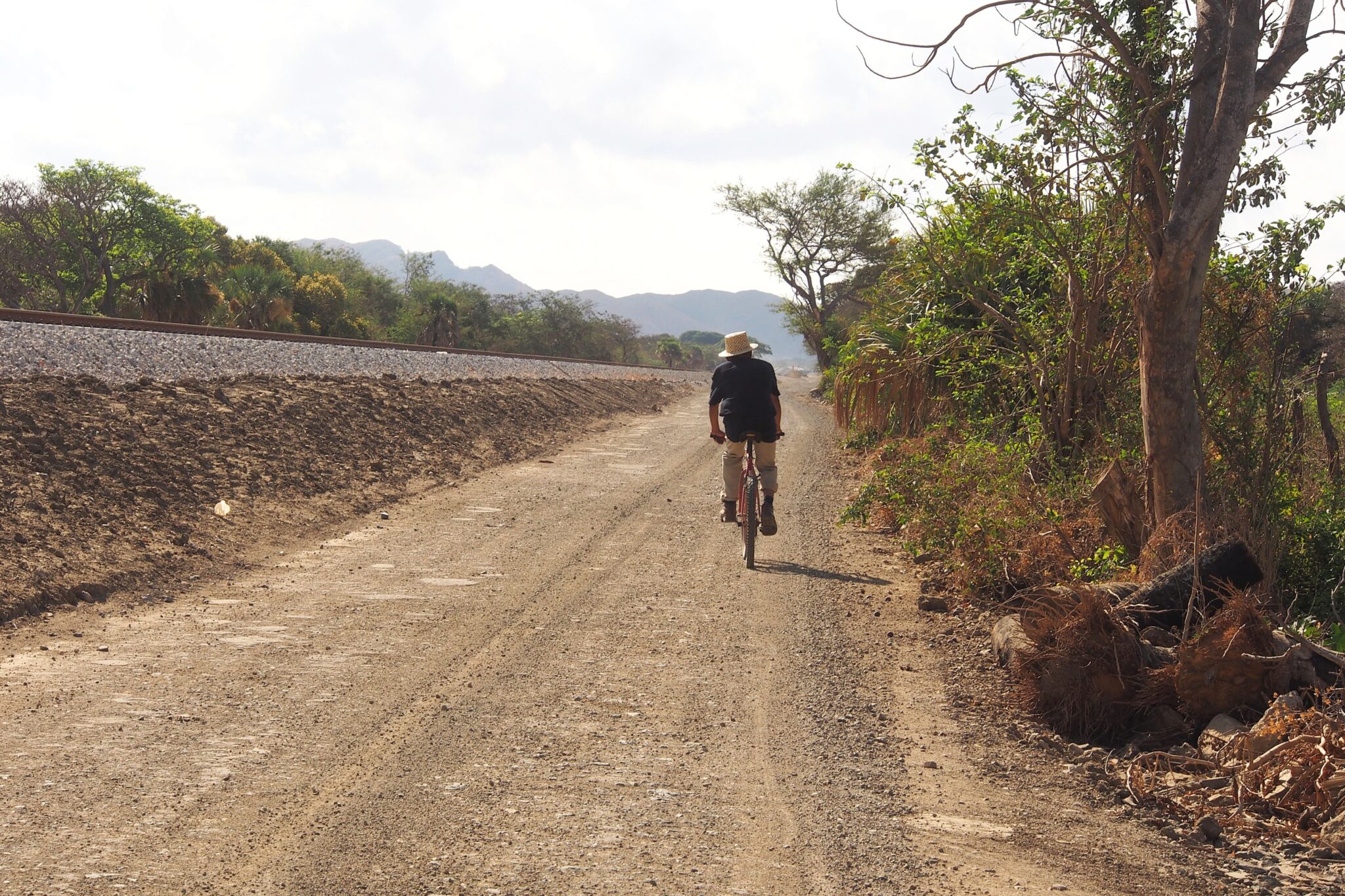 Édgar Martín, el defensor zapoteca que se enfrenta al Tren ...