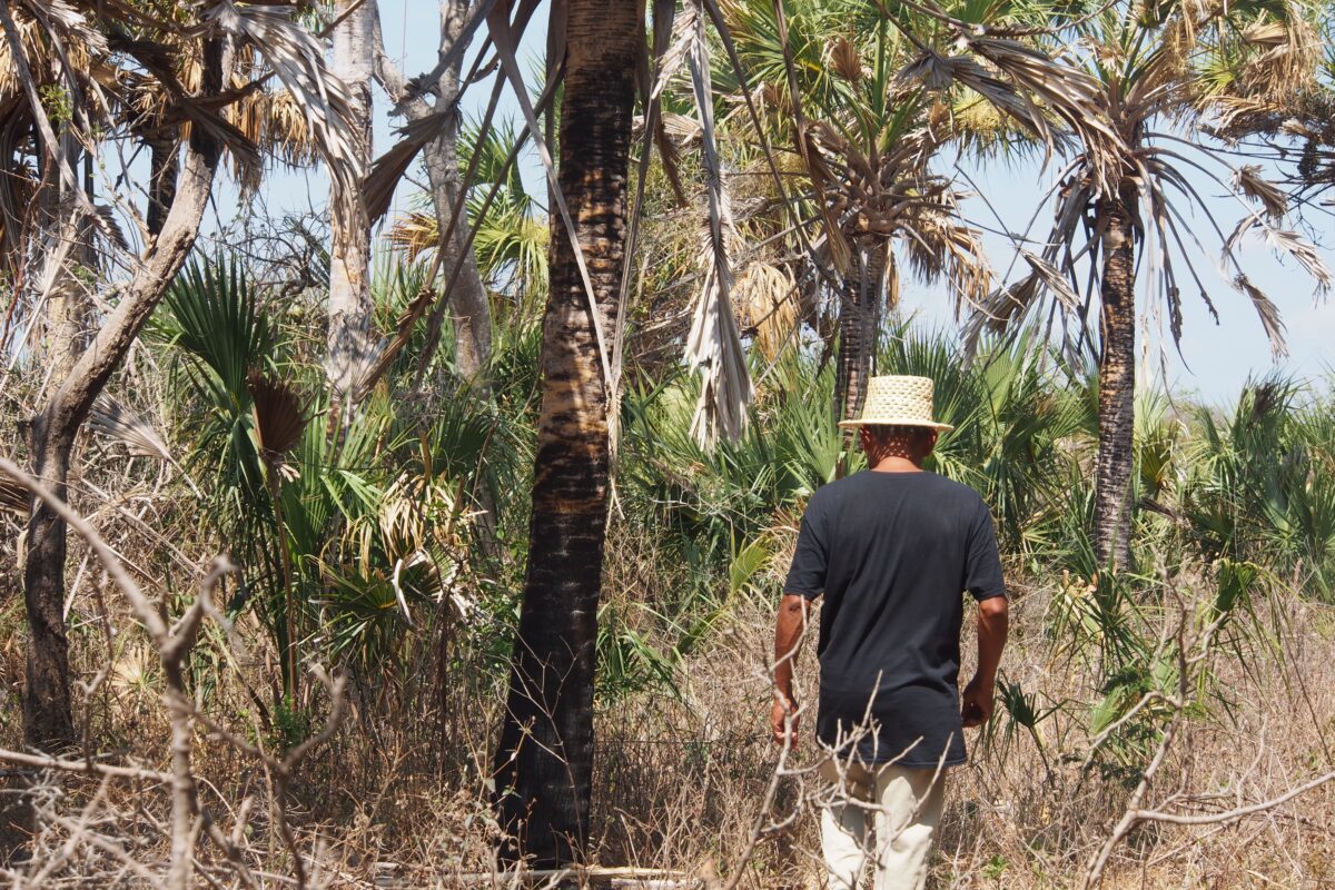 Édgar Martín, el defensor zapoteca que se enfrenta al Tren ...