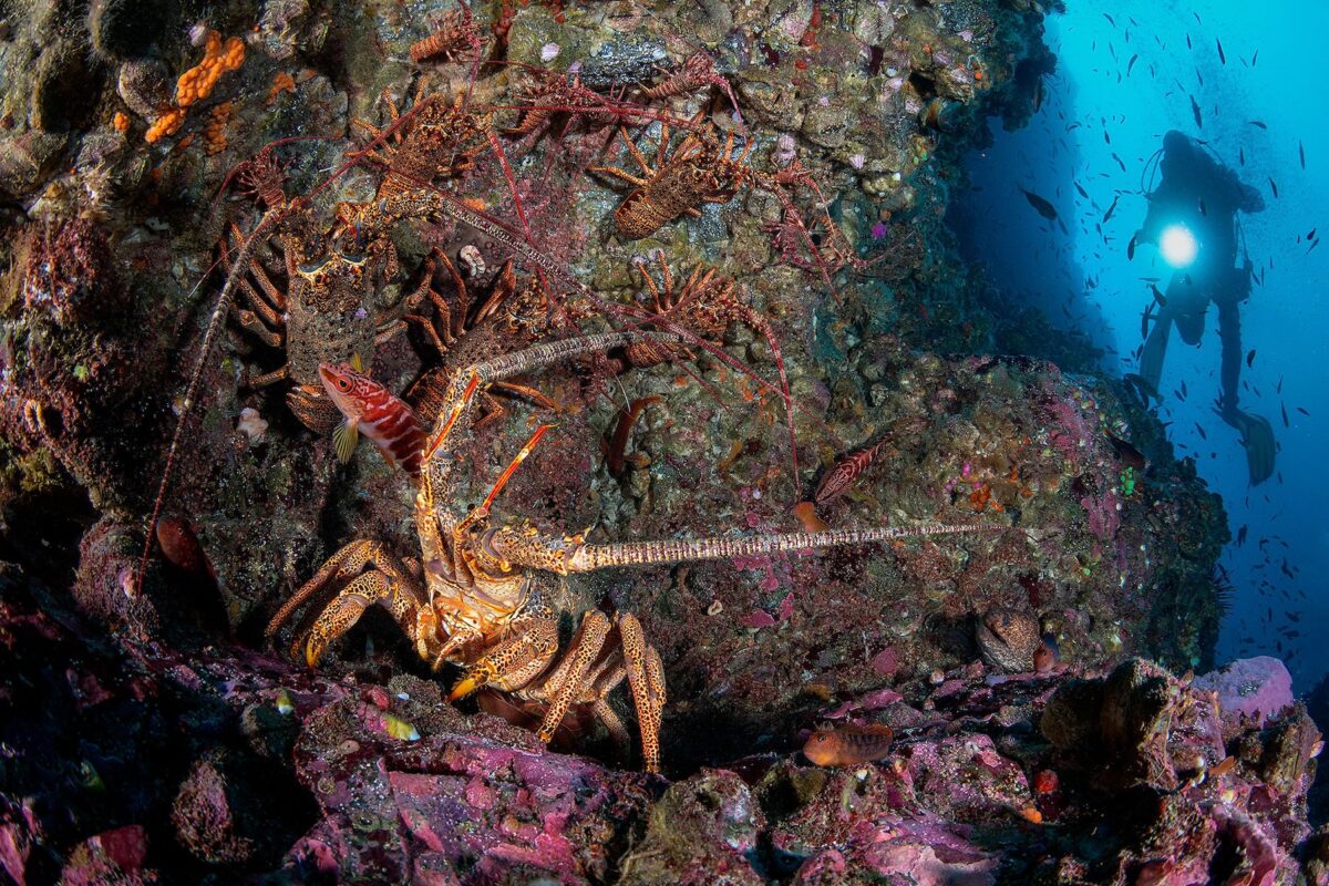 Pescadores protegen el Archipiélago de Juan Fernández