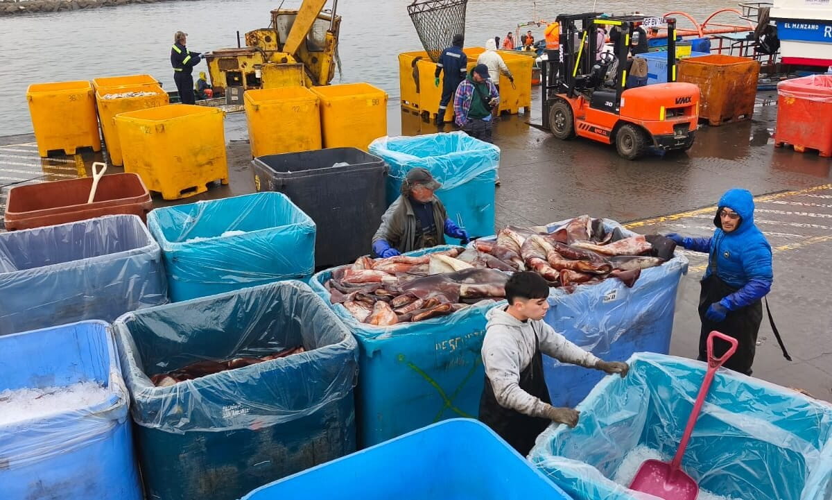 Alerta ambiental y comercial en Chile: industriales buscan reabrir la ...