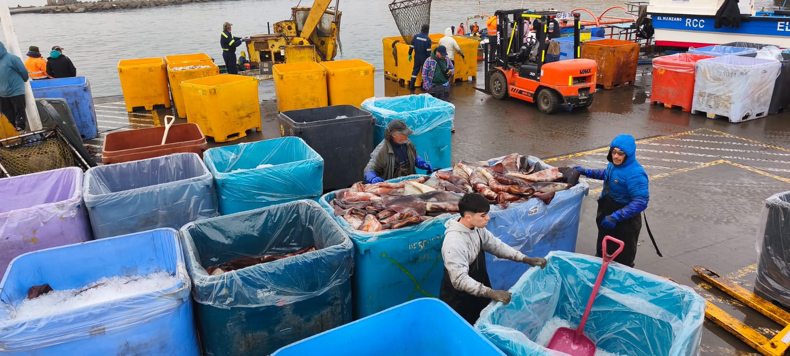 Alerta ambiental y comercial en Chile: industriales buscan reabrir la ...
