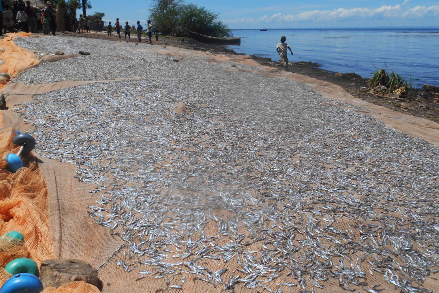Craintes pour le lac Albert alors que le gouvernement négocie l’accès ...