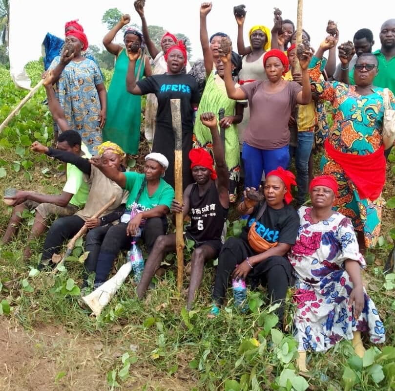 Socfin face à de nouvelles accusations d’abus sexuels et de conflits ...