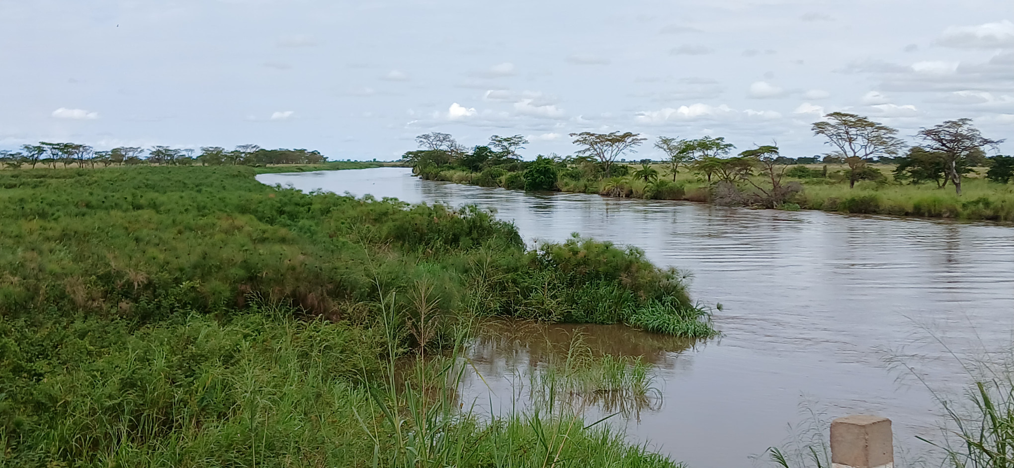 Le château d’eau du bassin du Congo sous pressions croisées