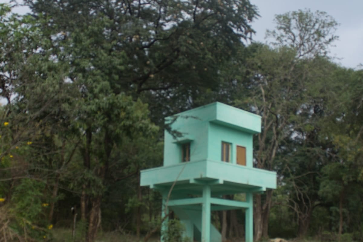 Let the jumbos pass: Avoiding elephant and human deaths around Coimbatore