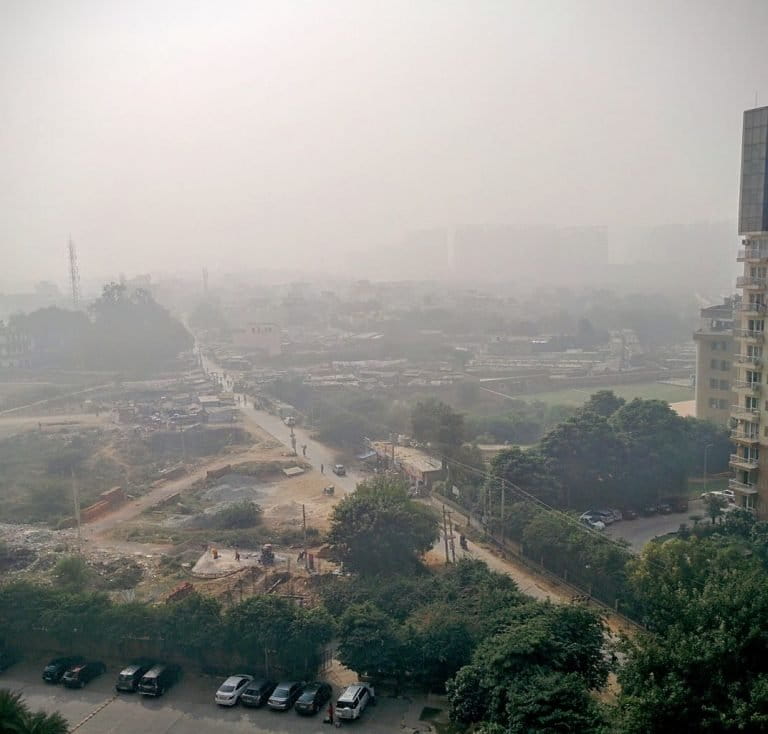 The disease burden of Delhi’s smog is among the highest in the world