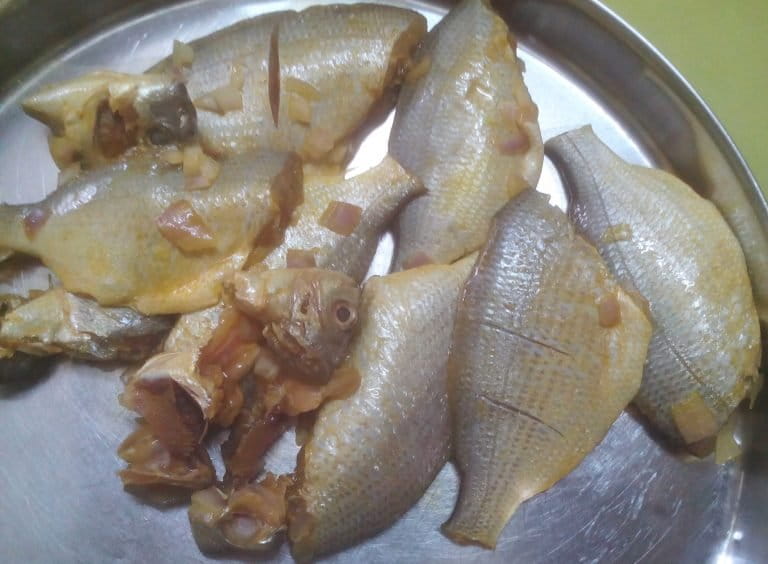 Mumbai fish harbour high levels of antibiotic-resistant bacteria