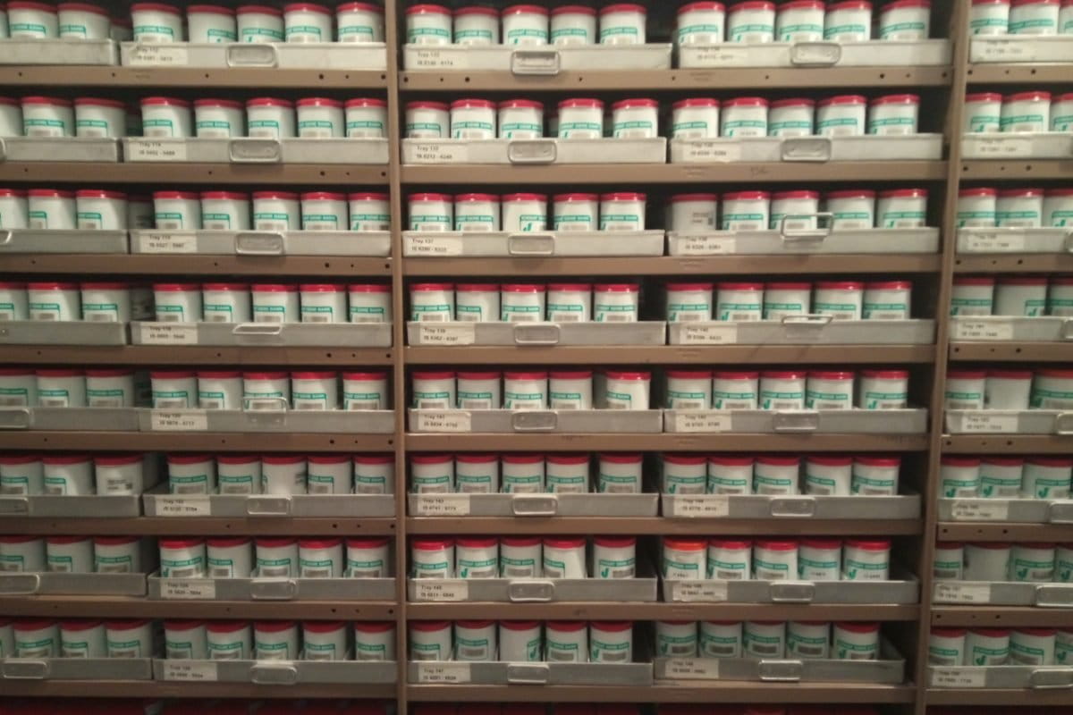 Saving the seed: A bank that secures the future of agriculture