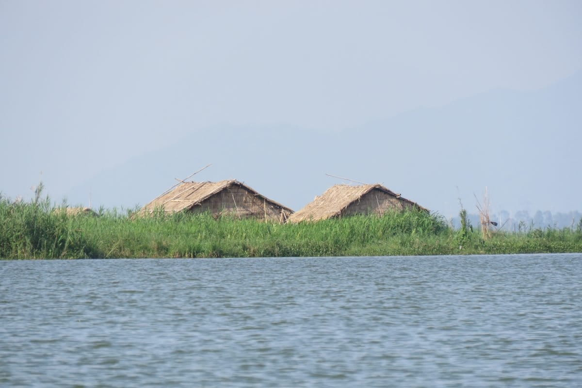 Saving the world’s only floating national park and its dancing deer