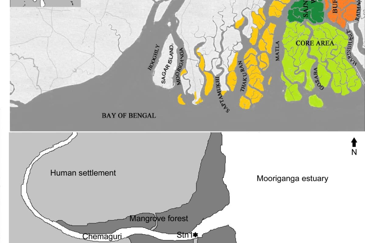 Sundarban Island On Map