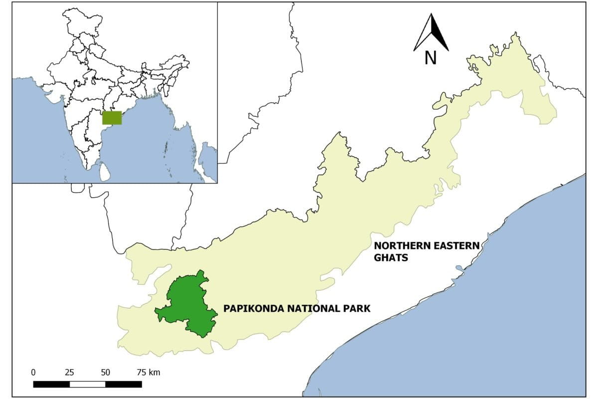Mapping forest loss in the northern Eastern Ghats