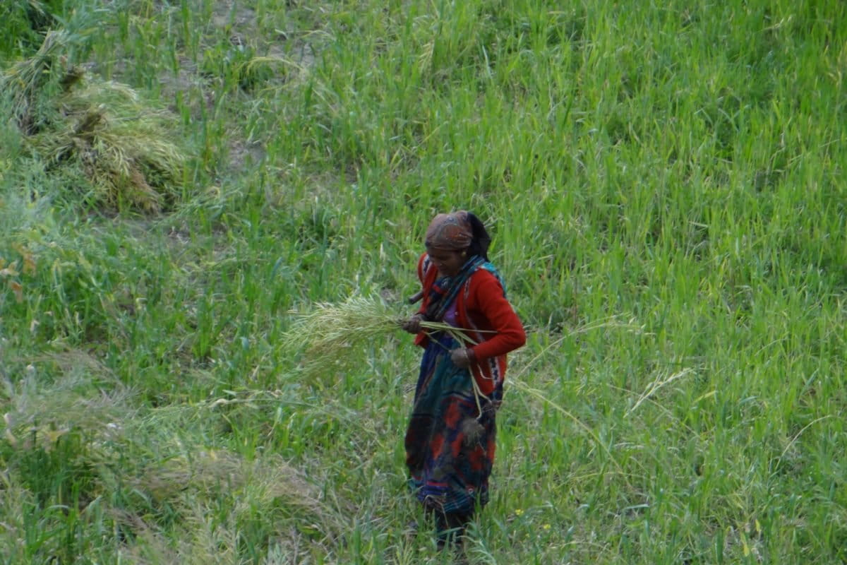 Landless farmers in the Indian Himalayas suffer from weakening social bonds