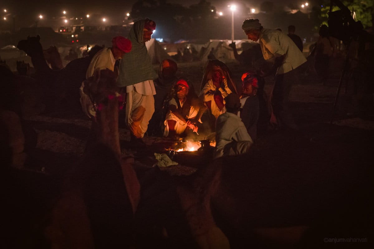 Mildly cold weather as deadly as extremely hot temperatures, finds study