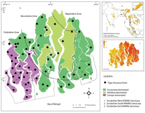 Climate change imperils Sundarbans tiger habitats
