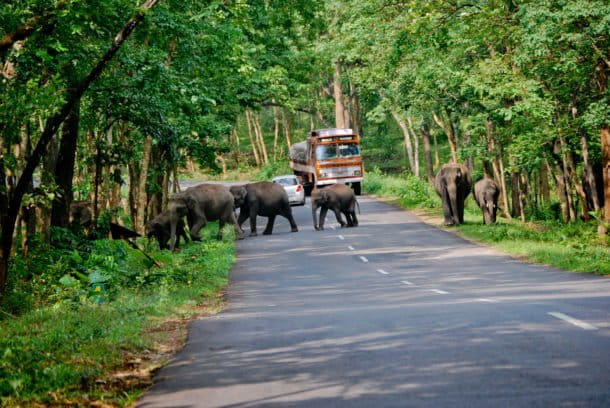 An environmental catastrophe is lurking in Wayanad