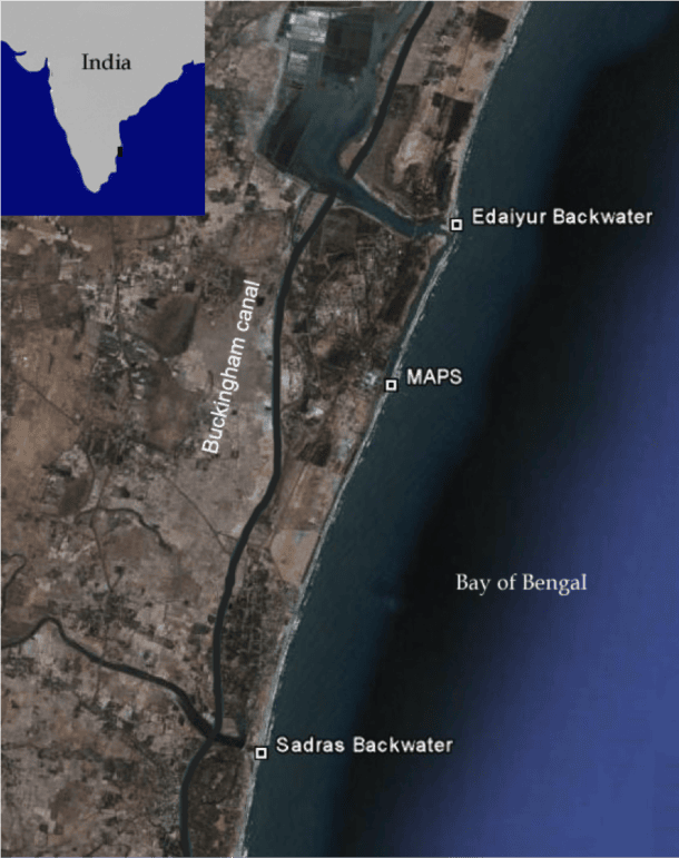 Mapping mosaic of marine life around the Kalpakkam nuclear facility